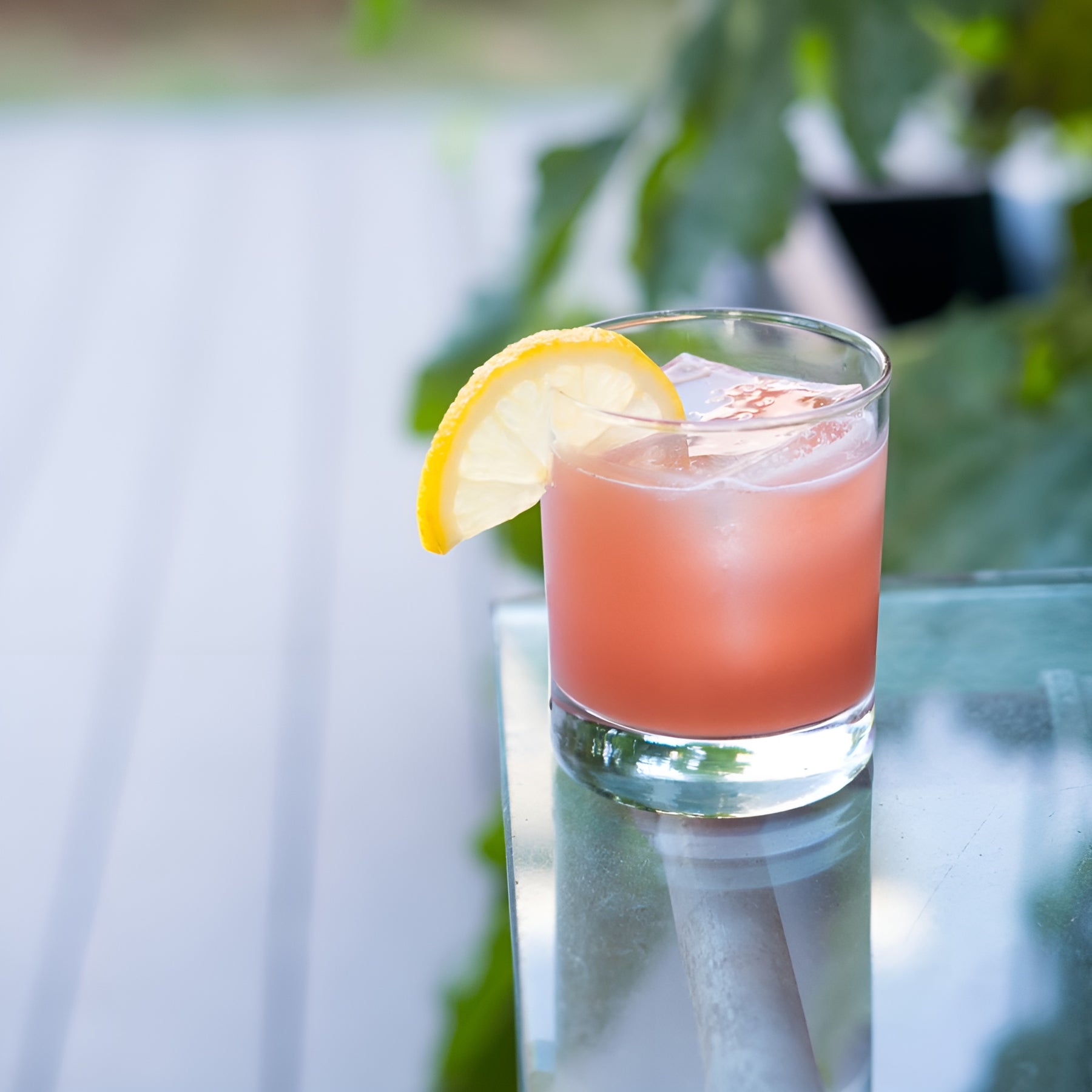 Recipes Tagged "blood orange cordial" - Liber & Co.