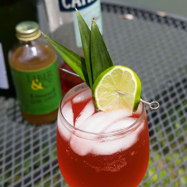 Jungle Spritz - Liber & Co.