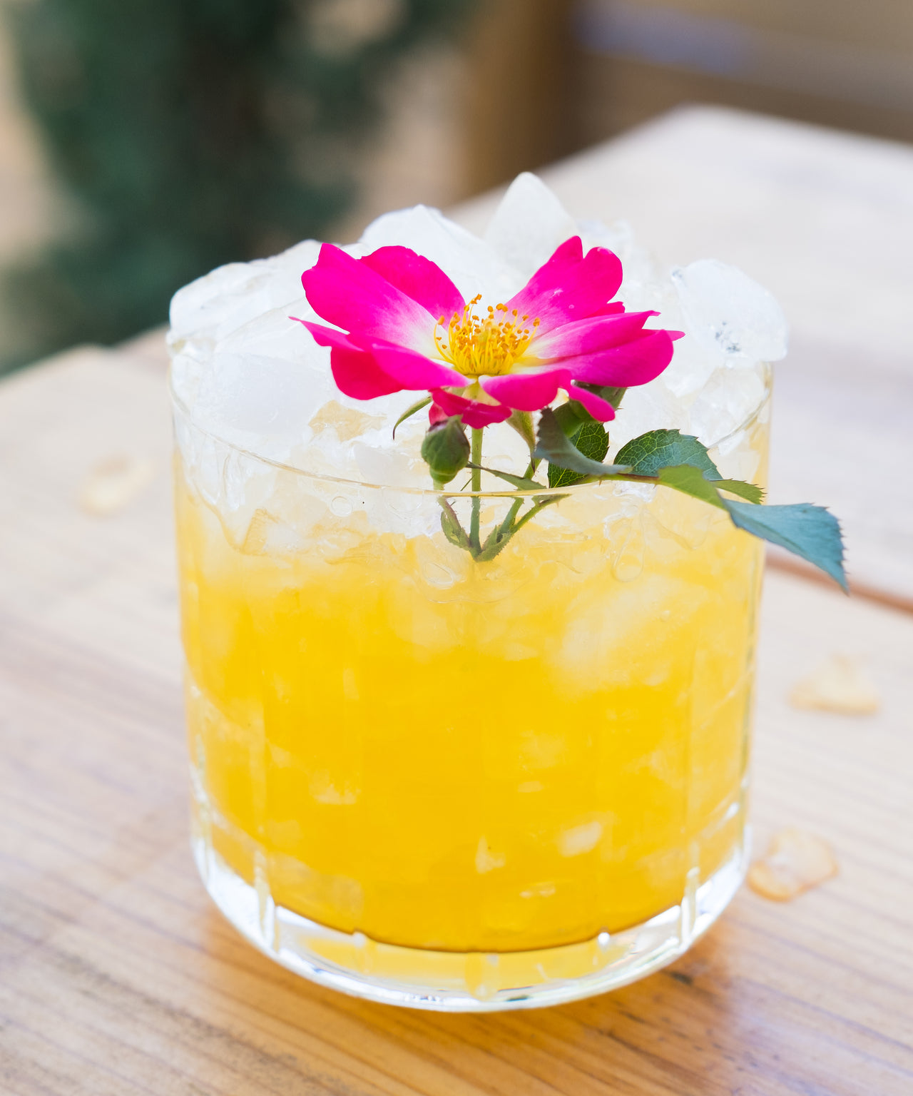 Coming Up Maypops – Liber & Co.